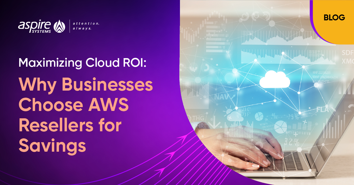 Maximize ROI with AWS Resellers | Cloud Cost Management